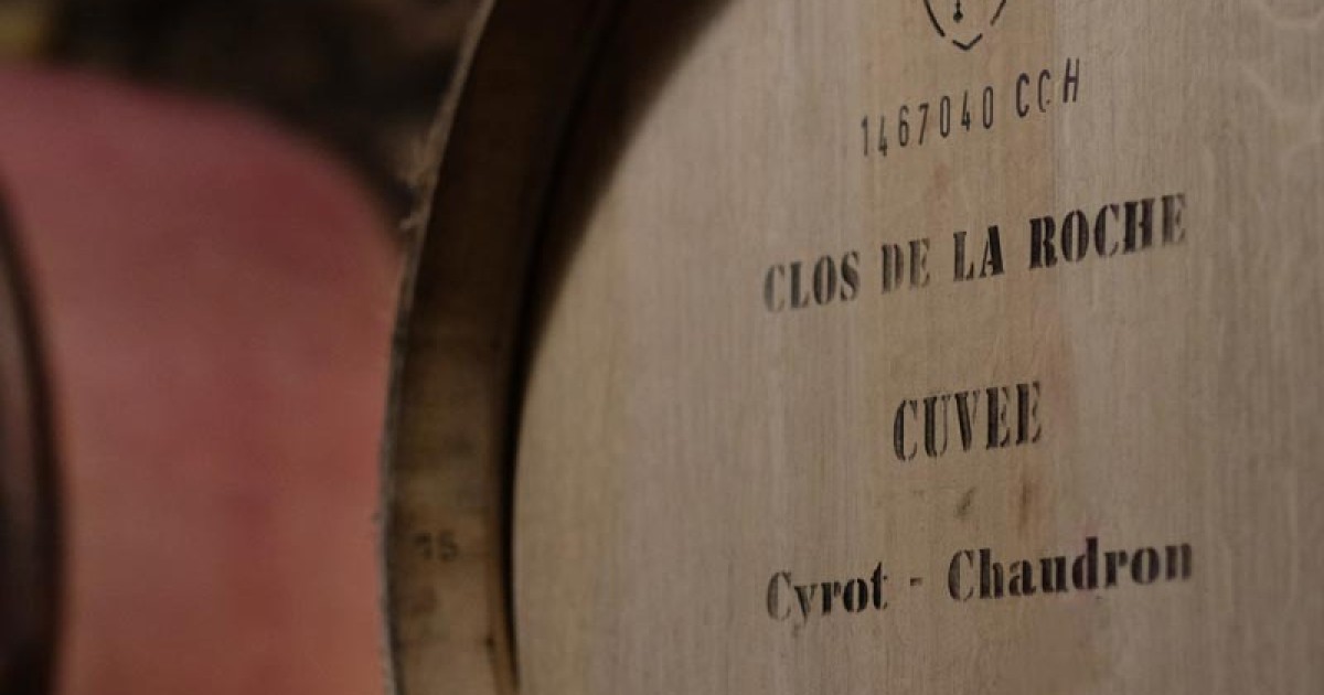 Decanter Word Wine Awards : Best in Show for our Clos de la Roche ...